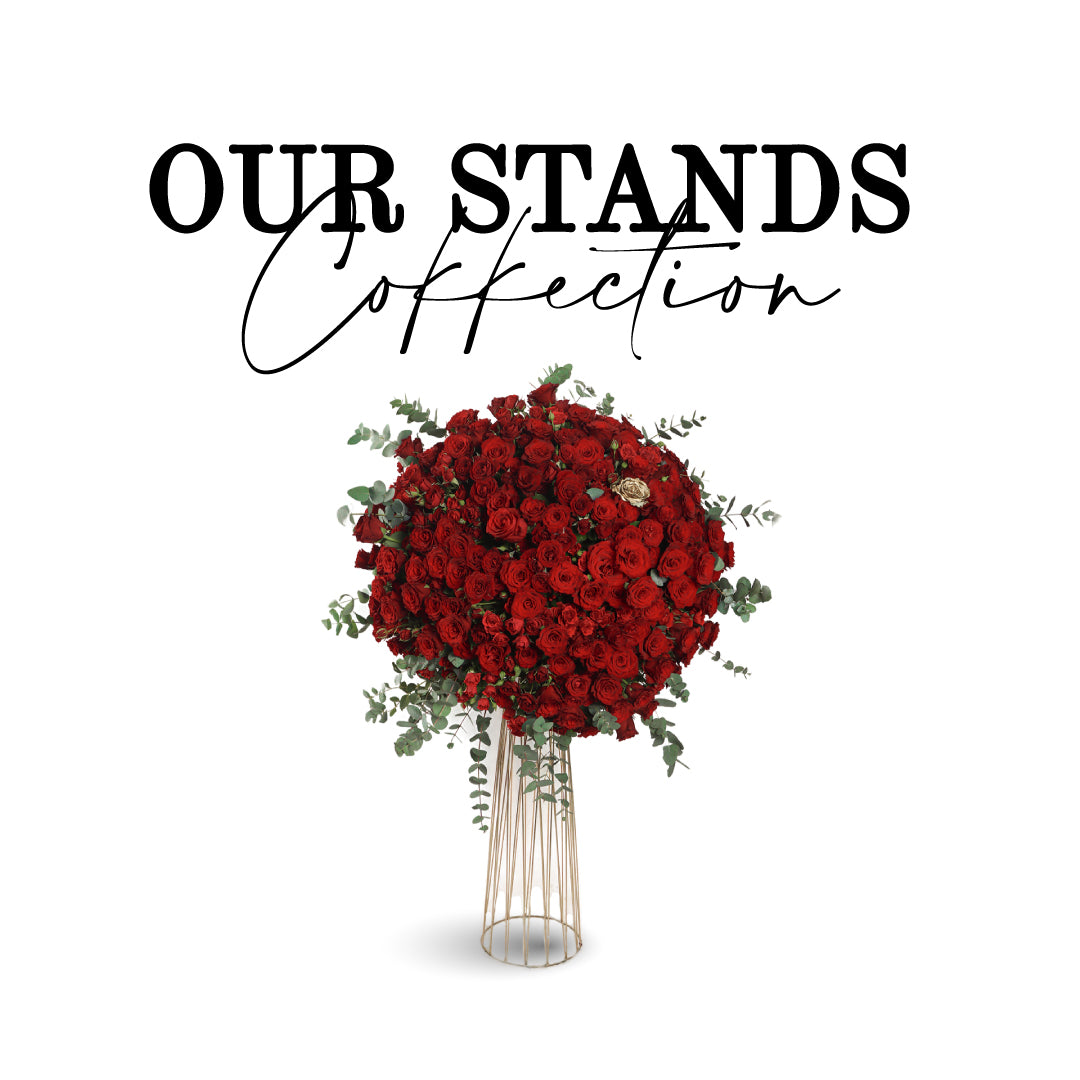 Our Stands Collection