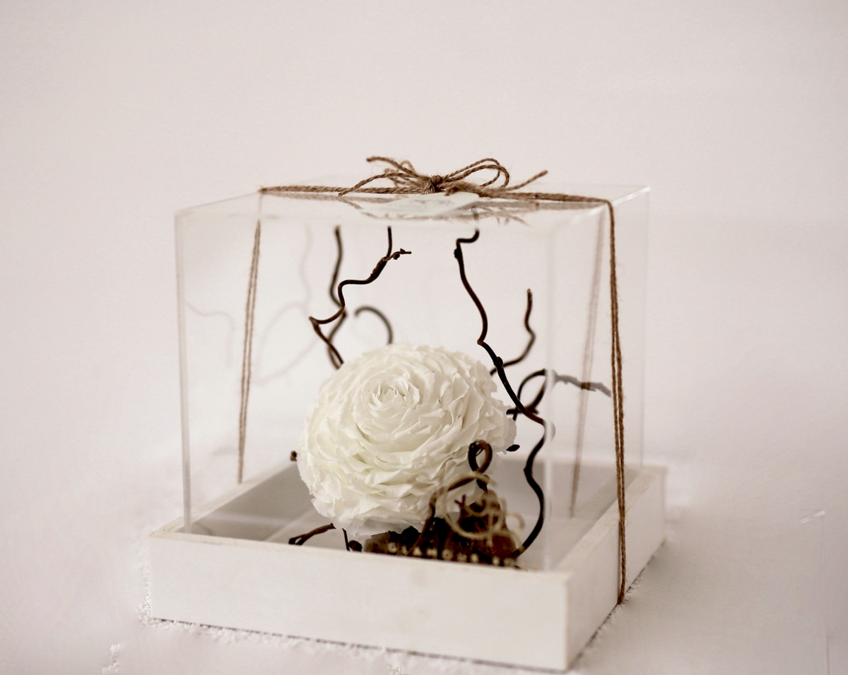 White Infinity Rose Box | Buy Customizable Infinity Rose Boxes Online ...
